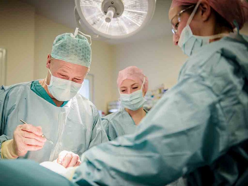 Plastic surgery: ‘the ultimate expression of art and science ...