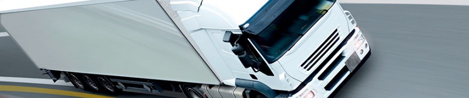 Flo Group on a new landscape for logistics – European CEO