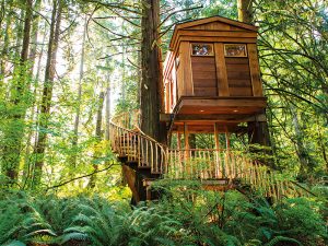 Biophilic office designs drive productivity and creativity – European CEO